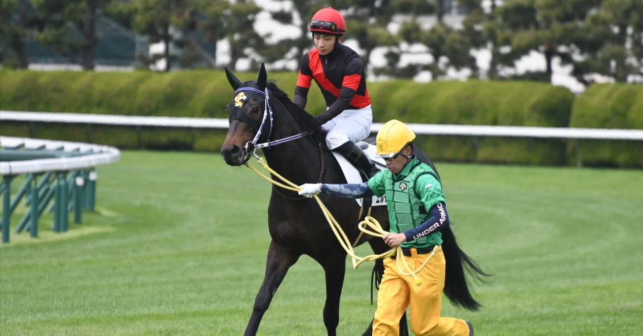 G1サラブレッドクラブ 2025募集馬(2024年産)AI馬体診断｜Koji Maeda