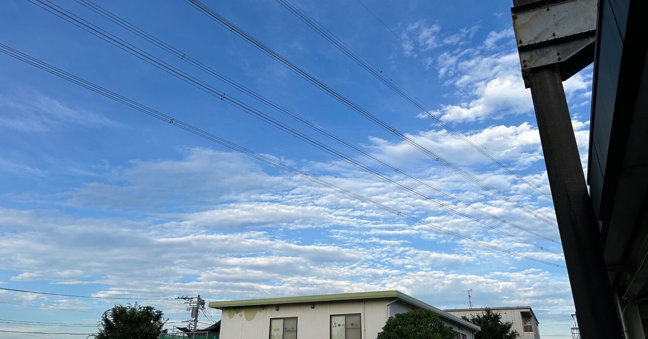 真夏20250617｜シャンプーのいらないリンス