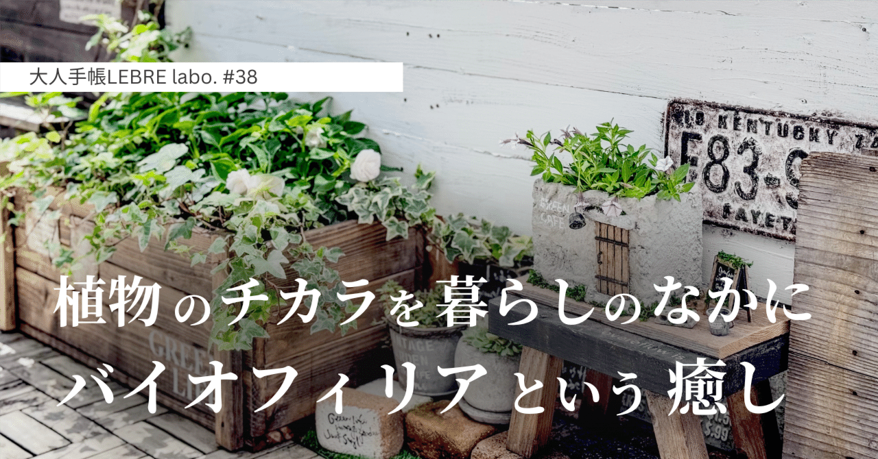 植物のチカラを暮らしの中に！バイオフィリアという癒し｜miwa|大人手帳LIBRE labo.