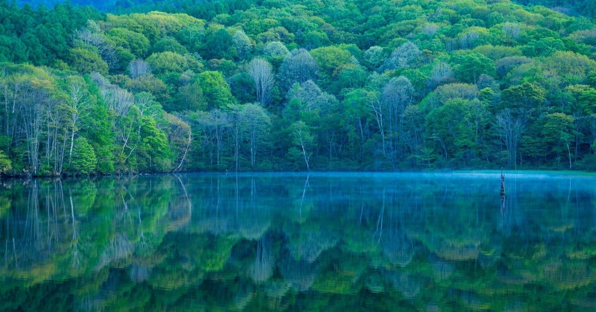 全てが逆さま！世界をひっくり返す究極の真実と逆転の実践法！｜Mippya78 新しい光の波動