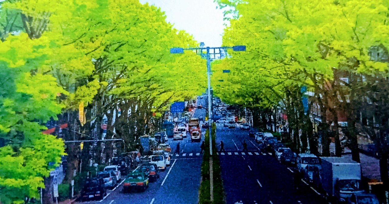 東京ぶらり旅 表参道・原宿｜seya_kinoto