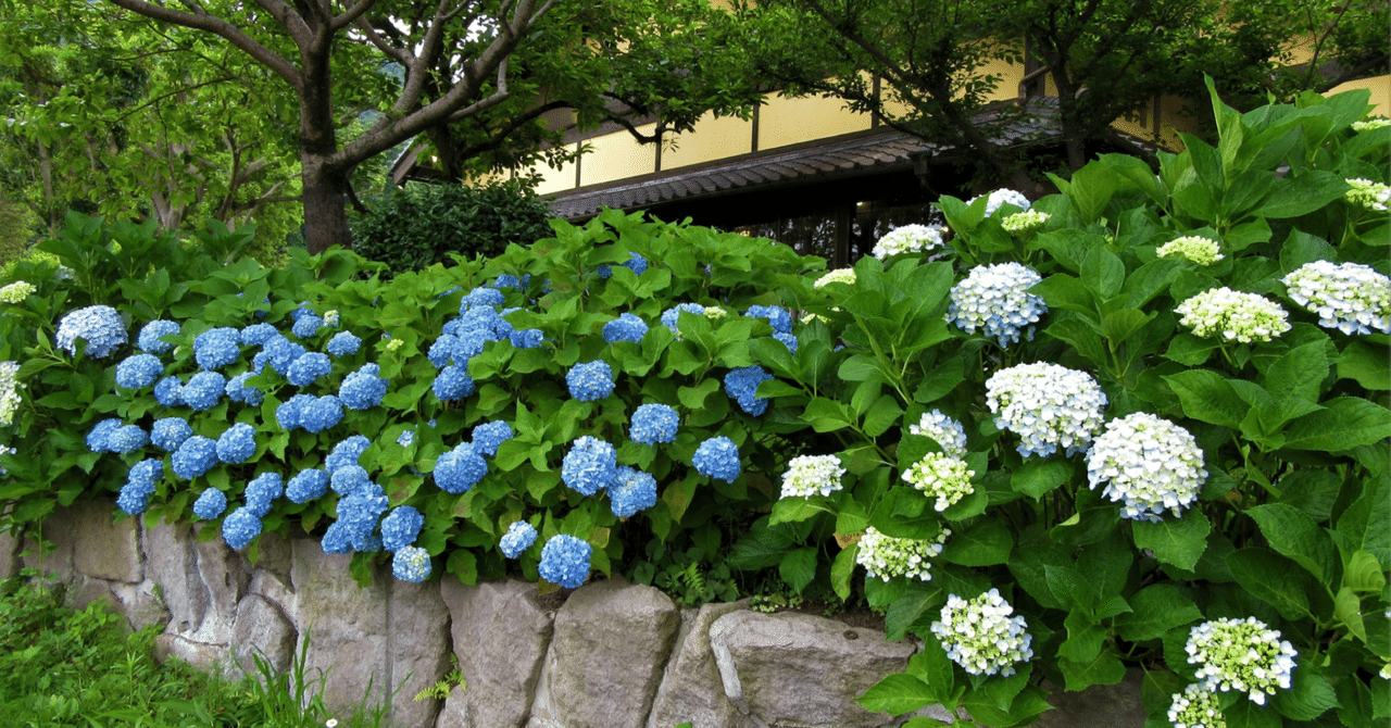 【婚活女性必見】30代女性が見逃しがちな脈ありサイン10選！恋愛に自信が持てる幸せな判断基準｜CocoCute