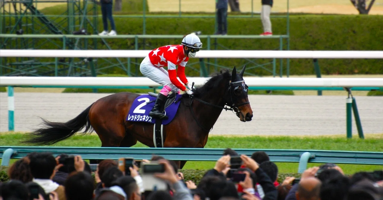 東京サラブレッドクラブ 2025募集馬(2024年産)AI馬体診断｜Koji Maeda