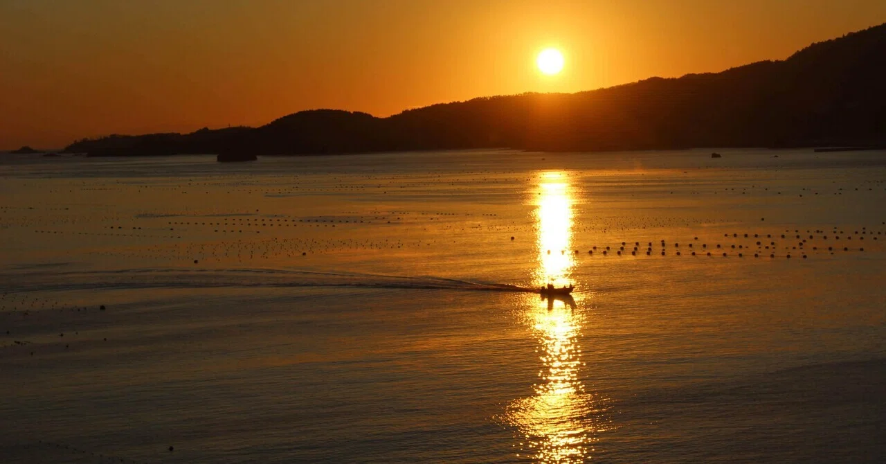 志津川湾 / Shizugawa Bay(Miyagi, Japan)｜N.Hagimoto