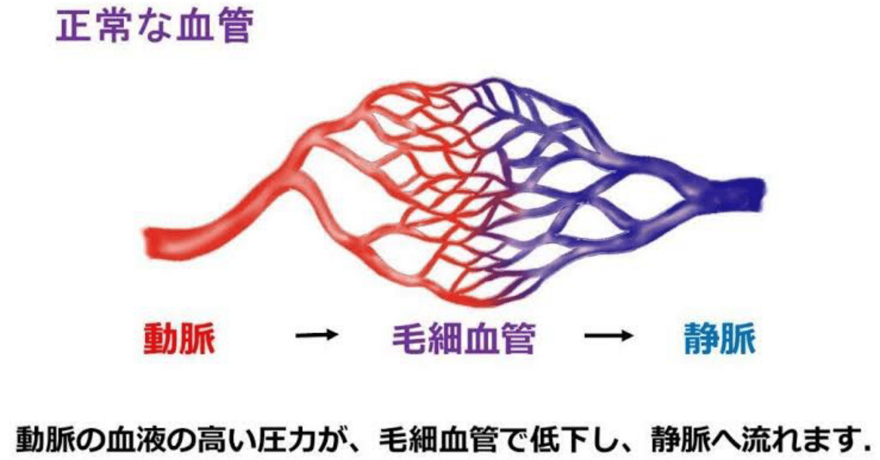 レストジョグ中に考えることを話します𓈒𓂂𓏸💭｜yuya_tsum1