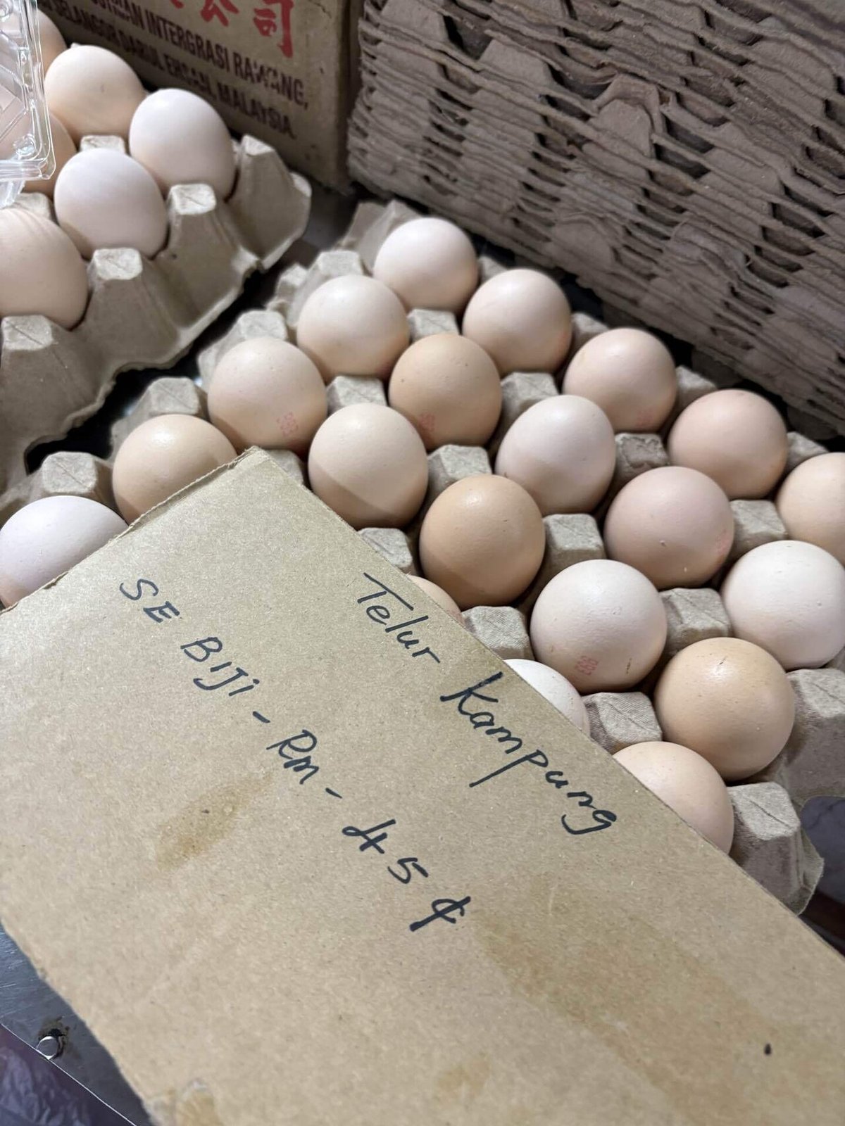 【完全保存版】TTDIマーケットの歩き方🥭｜シンママRIEマレーシア移住奮闘記｜rie_singlemamstyle