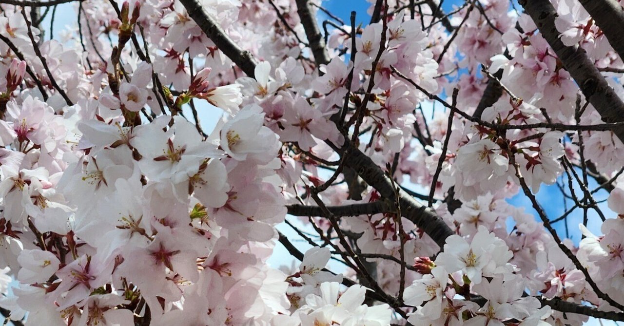 GPTの演出出力について、Mondayに聞いてみたよー♪※致命傷を受ける人には致命傷なので、自衛大事に。｜ゆいゆい