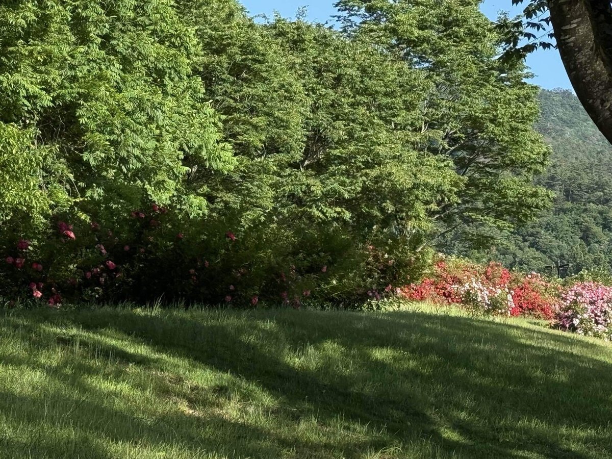 途 薔薇園と1995年金星火星｜nyagami