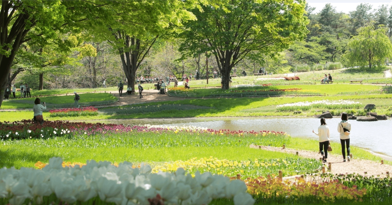 【完全ガイド】医療従事者のバーンアウト対策｜笑い療法の科学的効果と実践法｜シマキ