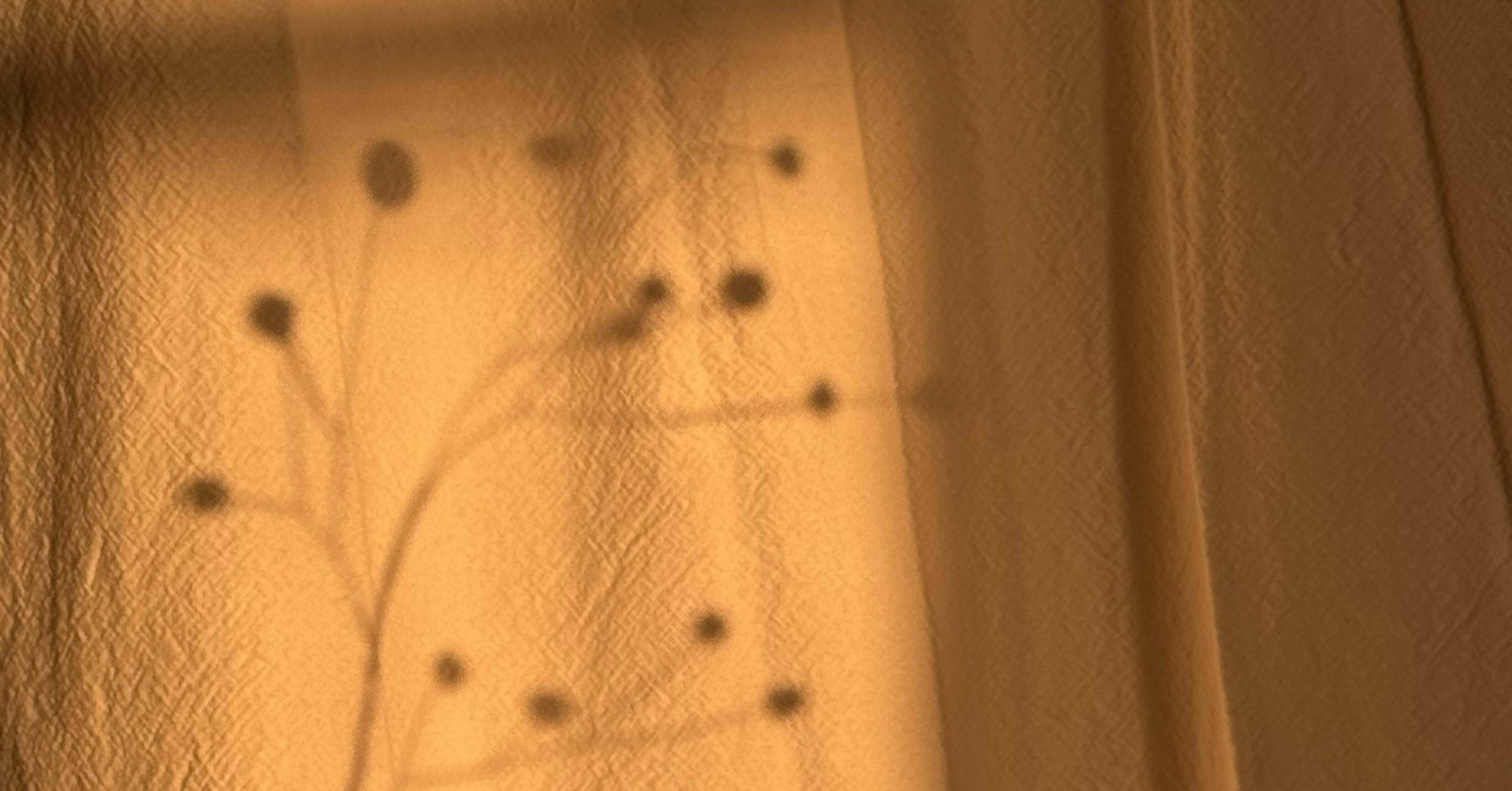 野中実智| Misato Nonaka｜note