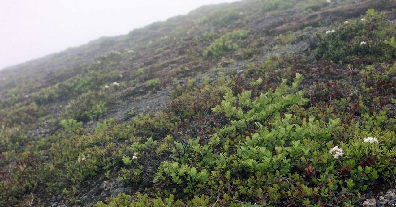 25年6月 樽前山｜robert_oku