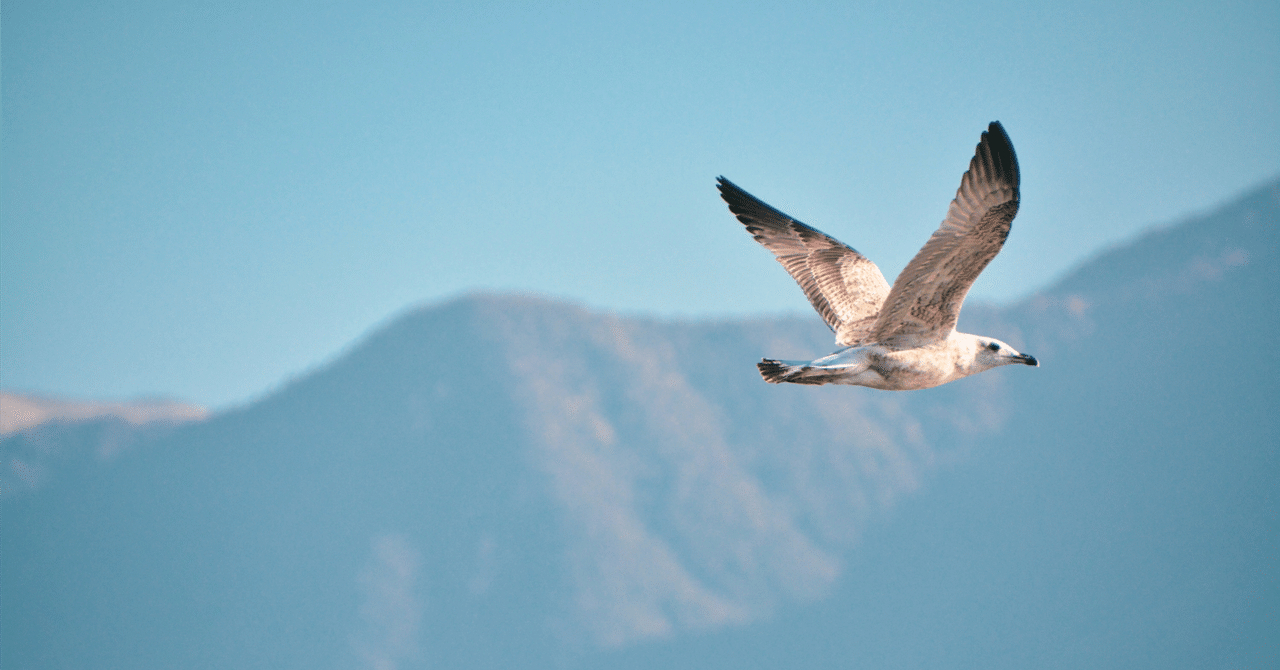 BTSはデトックス｜kibori-chan