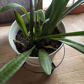 Masateru Yoshimura｜note