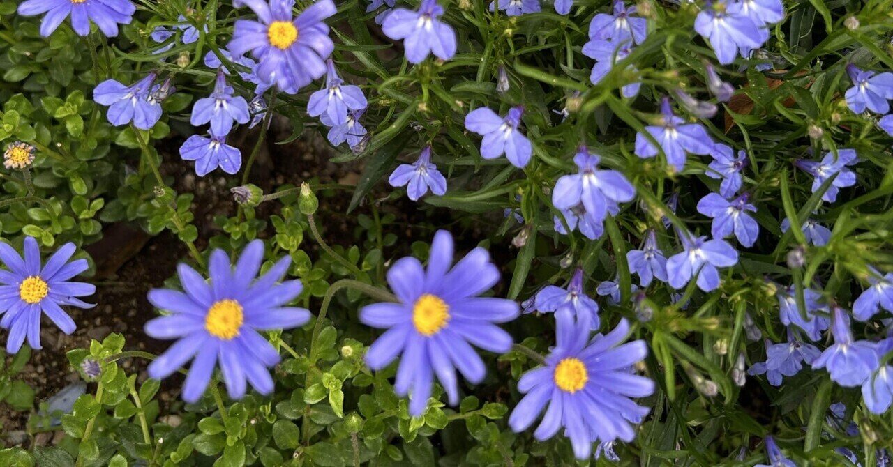 コーチング〜今が最高であるために〜｜Hakuto Eiko