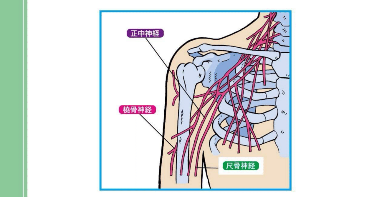 緊縛事故について、今こそ考えてほしいこと｜Aoyama Natsuki