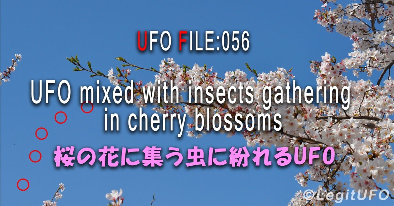 UFO FILE:056 桜の花に集う虫に紛れるUFO｜Legit UFO