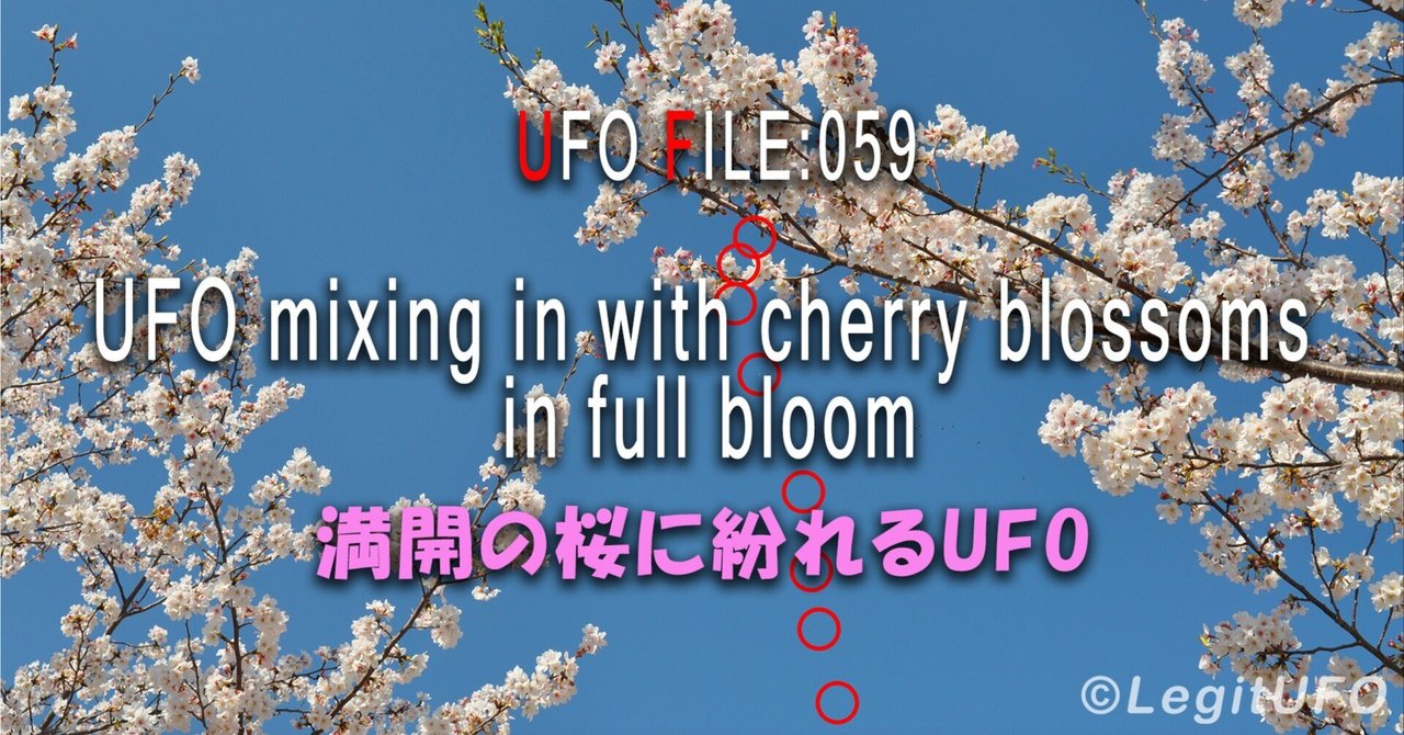 UFO FILE:059 満開の桜に紛れるUFO｜Legit UFO