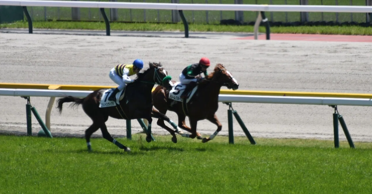DMMバヌーシー 2025募集馬(2024年産)AI馬体診断｜Koji Maeda