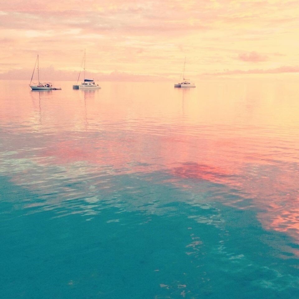 Shinpei Takami｜note