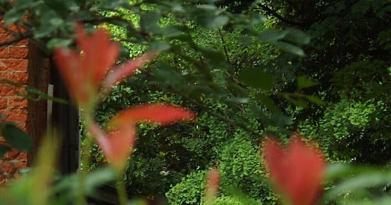 老人と花｜Wada Sayaka