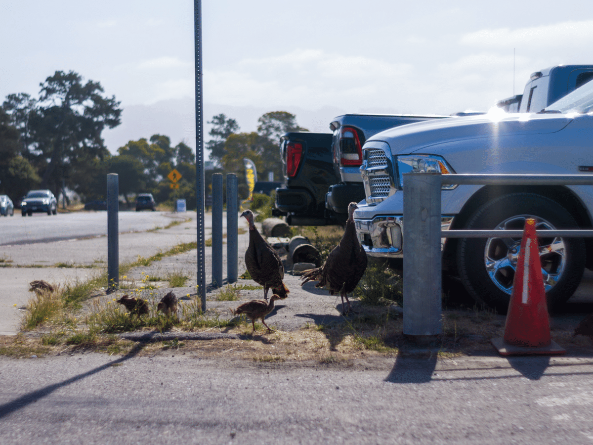 朝散歩なThursday｜helloryuji