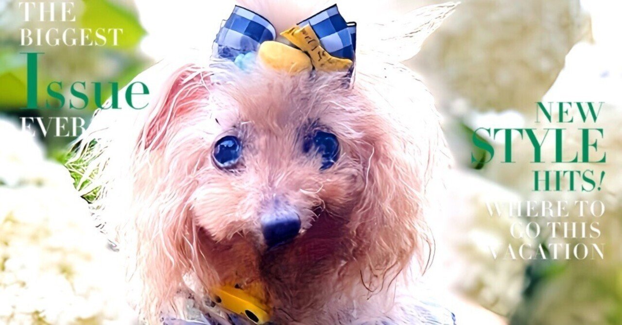 🐾【見えなくても、感じる力】｜alan ch