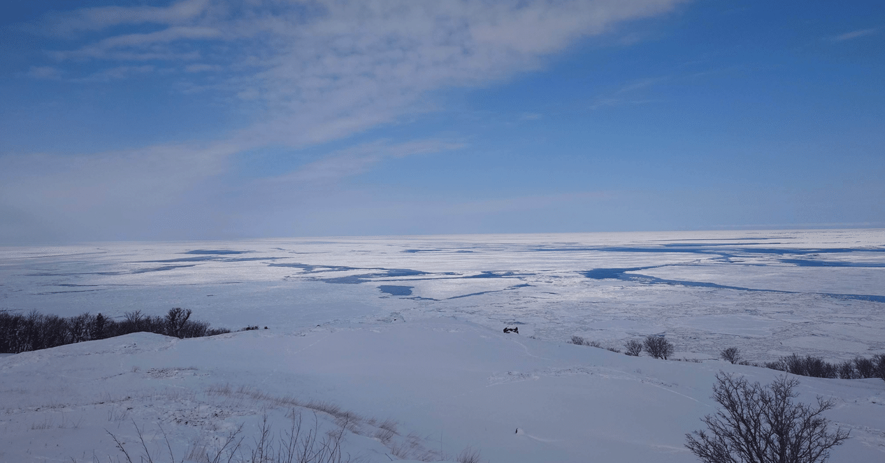 ＃5 ドライバーについて｜ayana