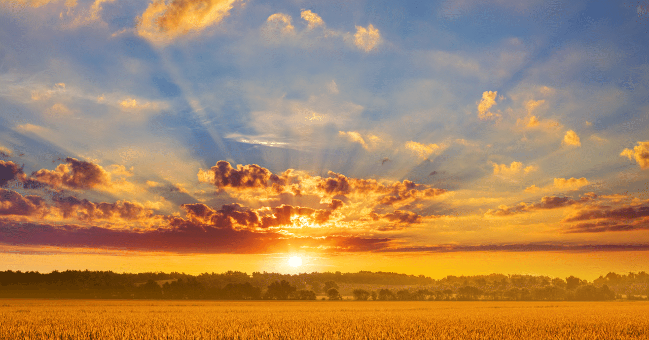 ヨガと太陽と、夏至のはなし。｜Kazuko.Yoga