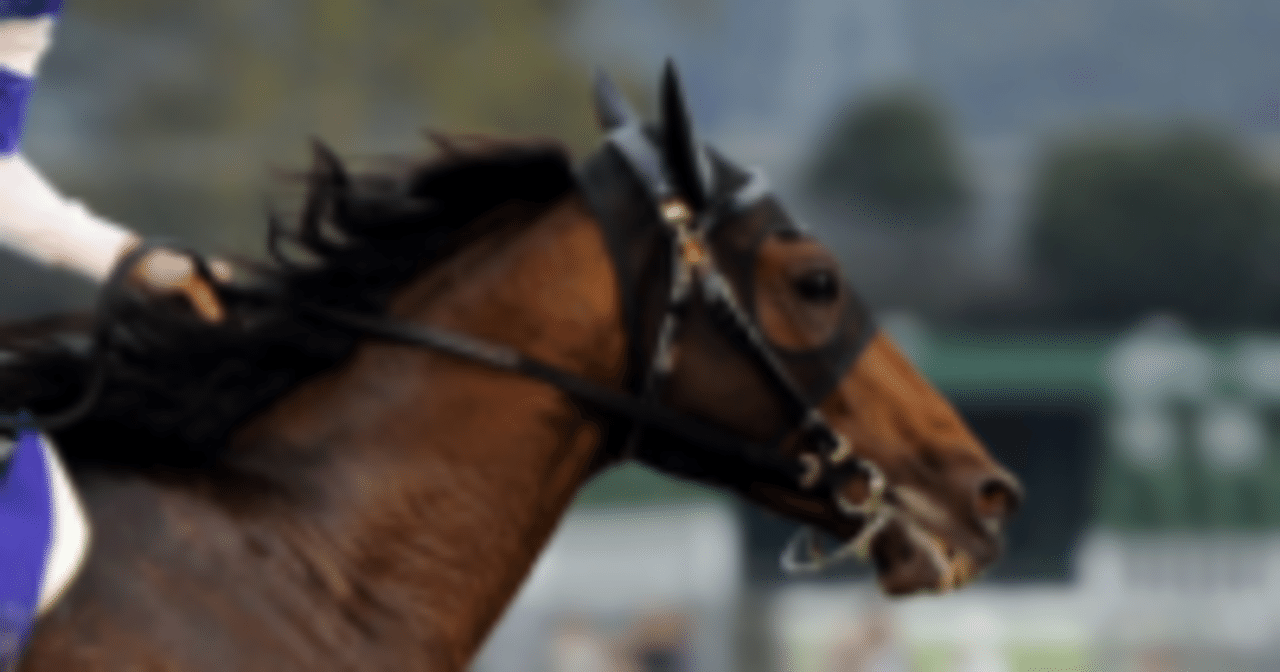 JRA中央競馬6/21（土）東京2R｜フジタカ