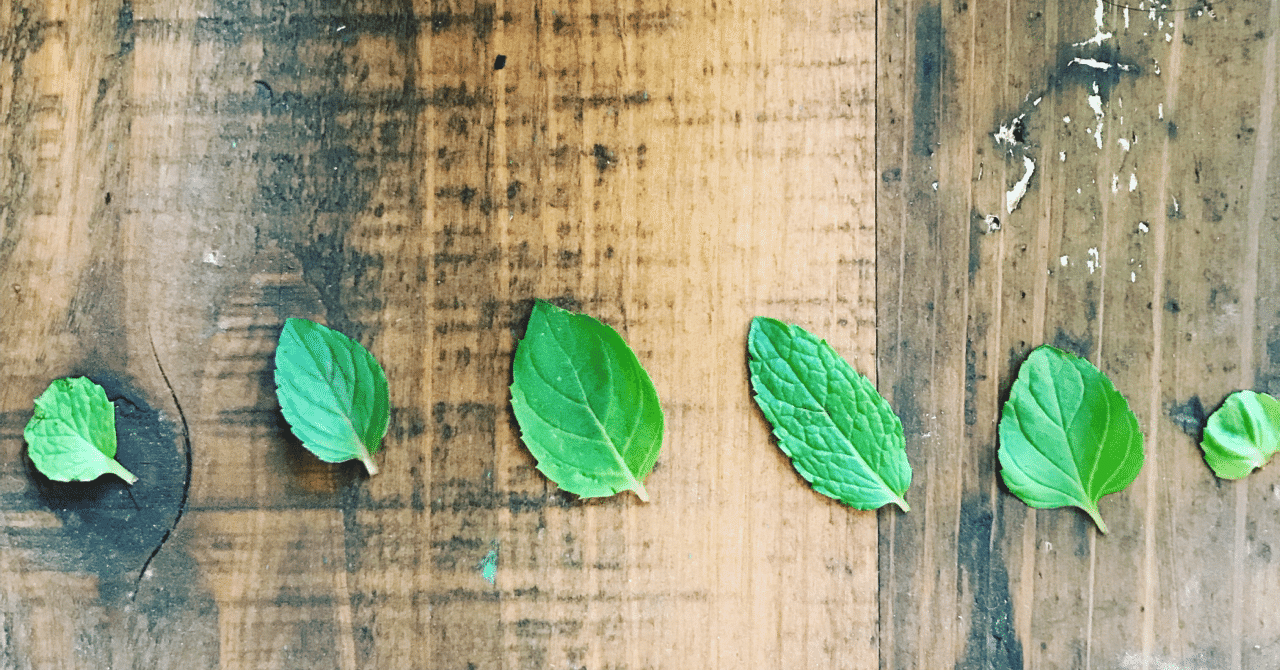 日記 20250620｜lefthorse