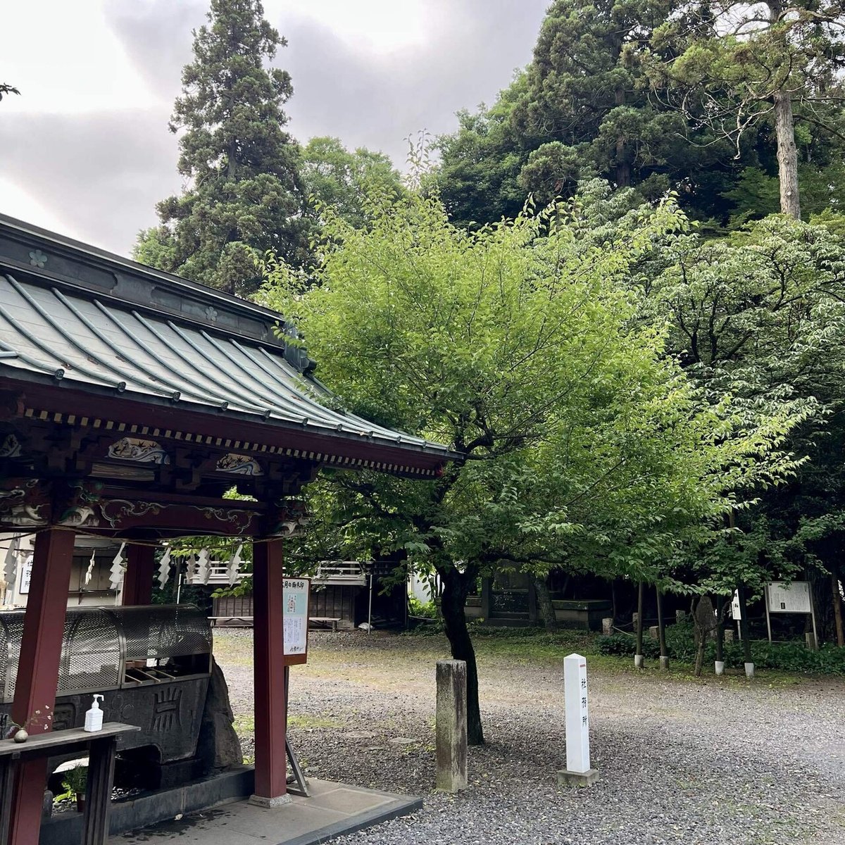 早朝の恵方参り（夏至）｜mako＠plants