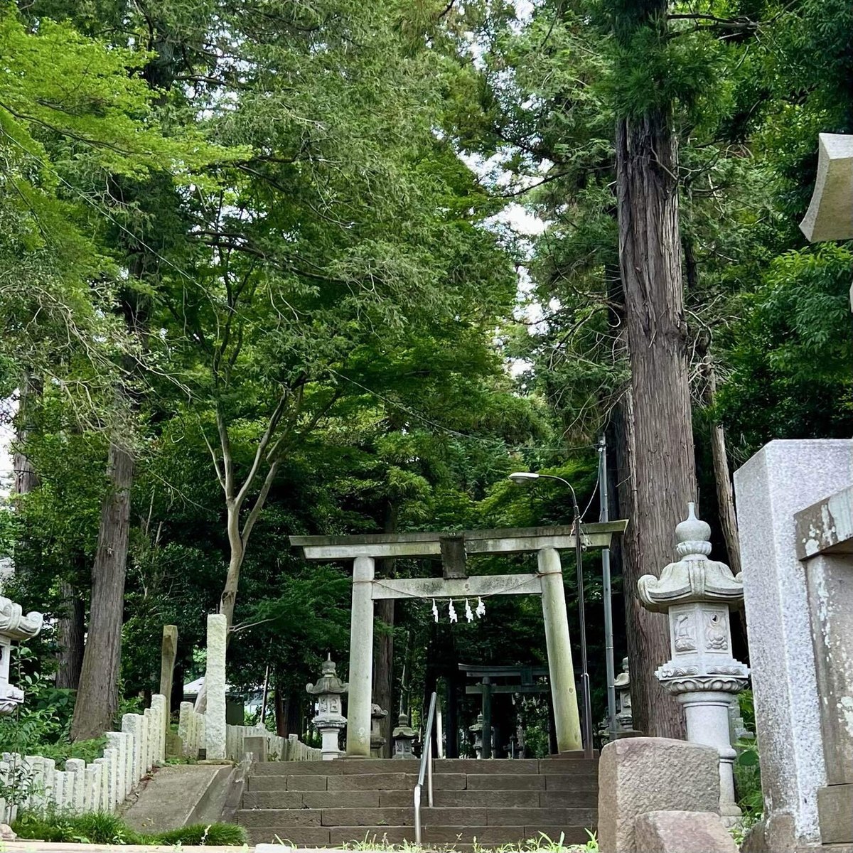 早朝の恵方参り（夏至）｜mako＠plants