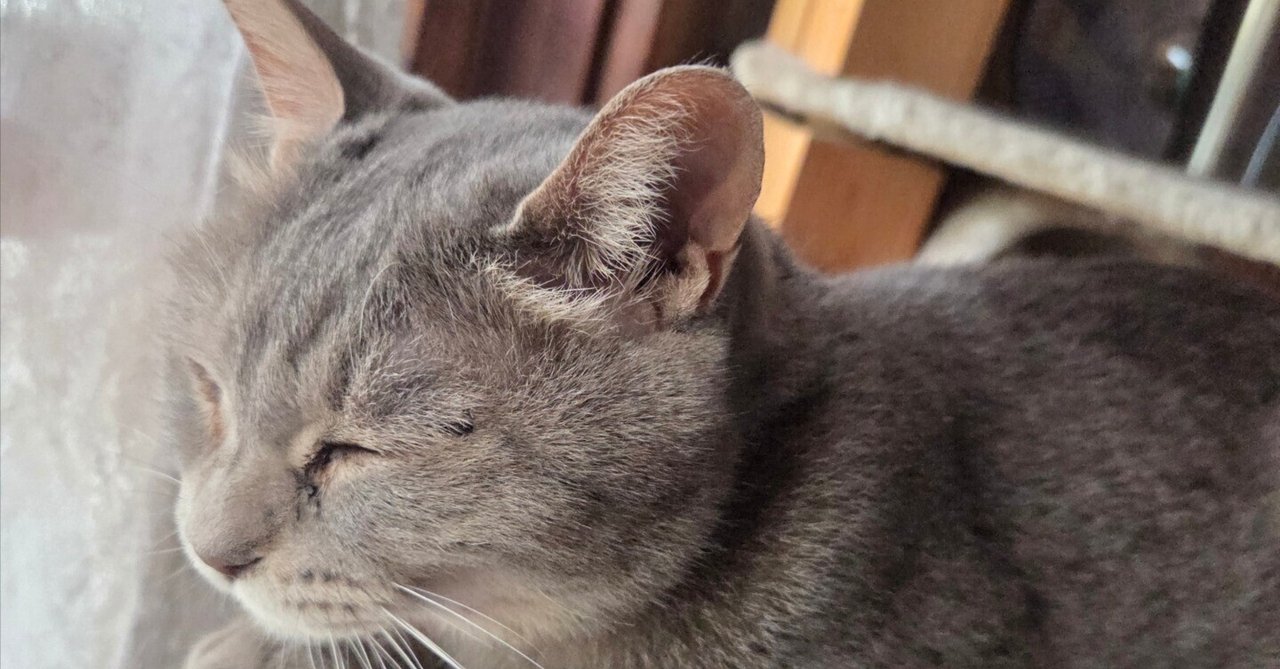 今更ながら説明させて頂きます🙏｜kei1diablo