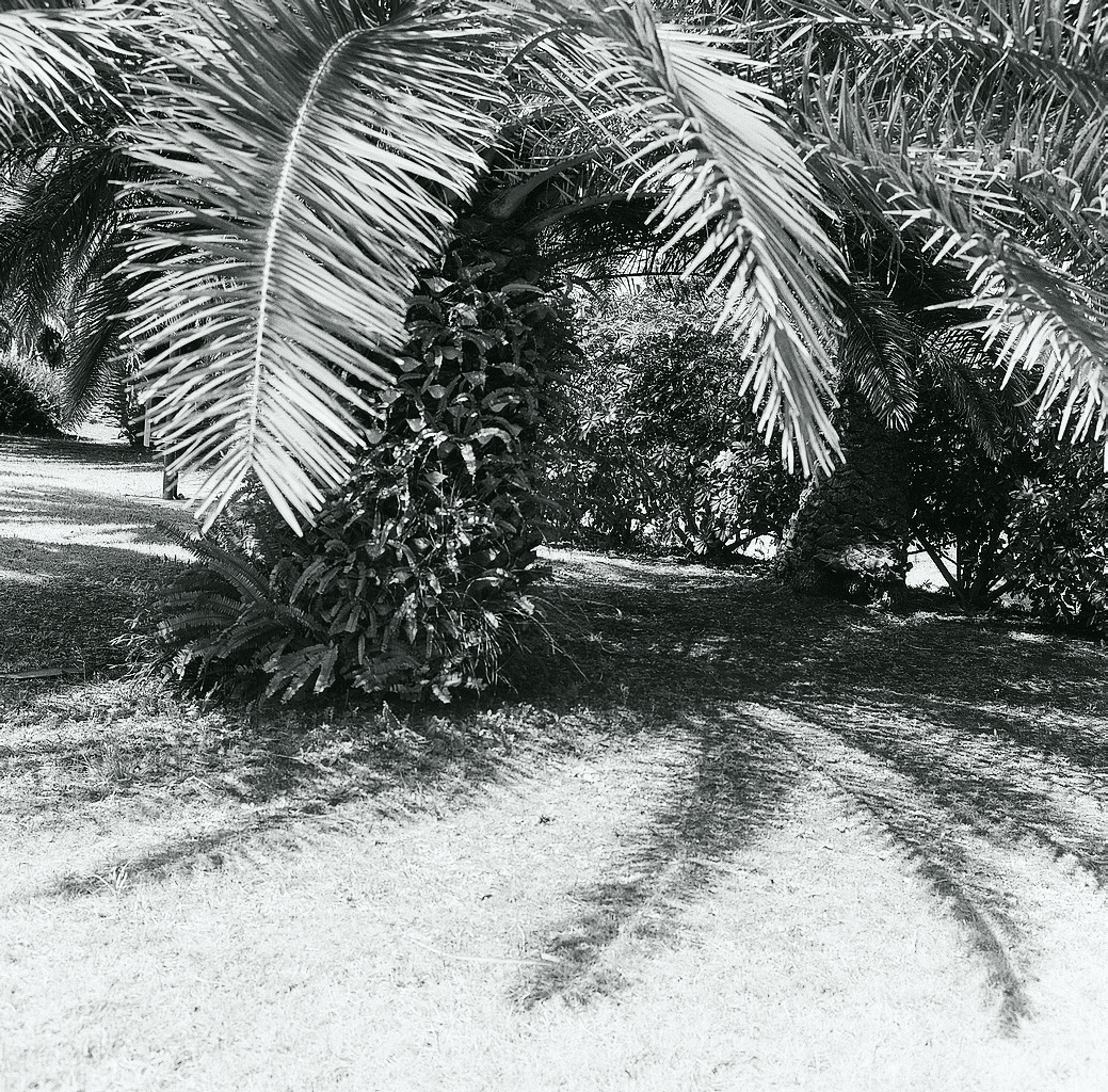 取捨選択｜OHO KANAKO