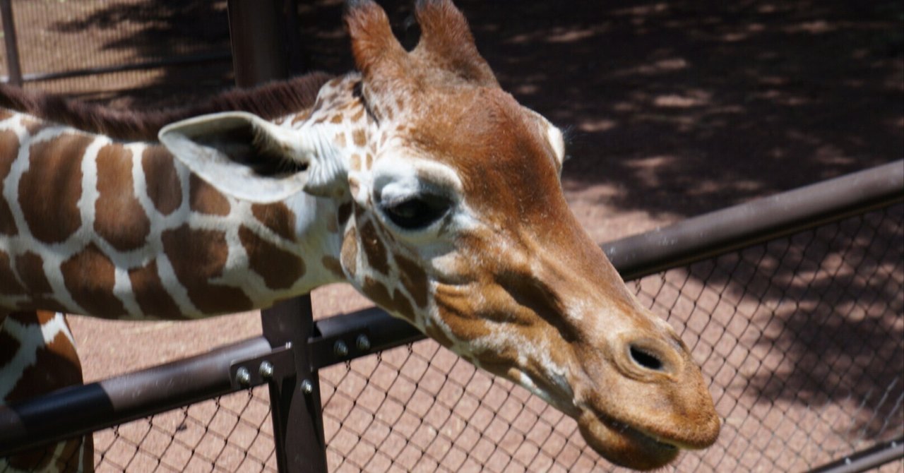 カメラバッグに詰め込んで｜MITSUDA Tetsuo