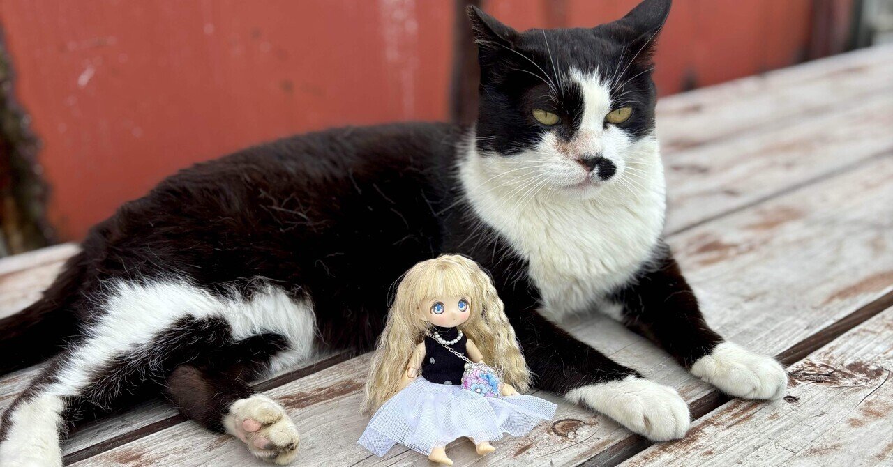 世界6大猫スポット“相島”へ──AI3つに旅プランを聞いてみたら全然違った話｜umy_syu