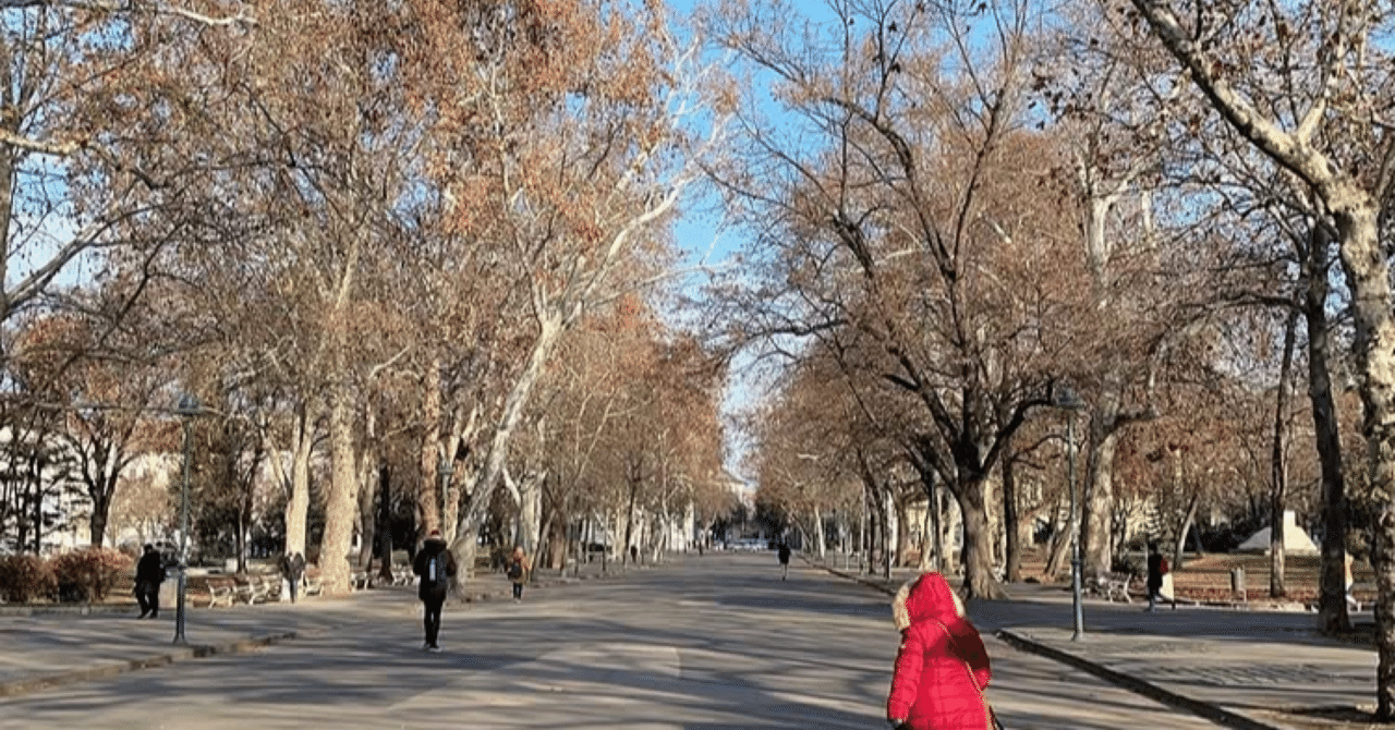 【中学英語文法シリーズ㉘】「過去進行形」｜liyin_eigo