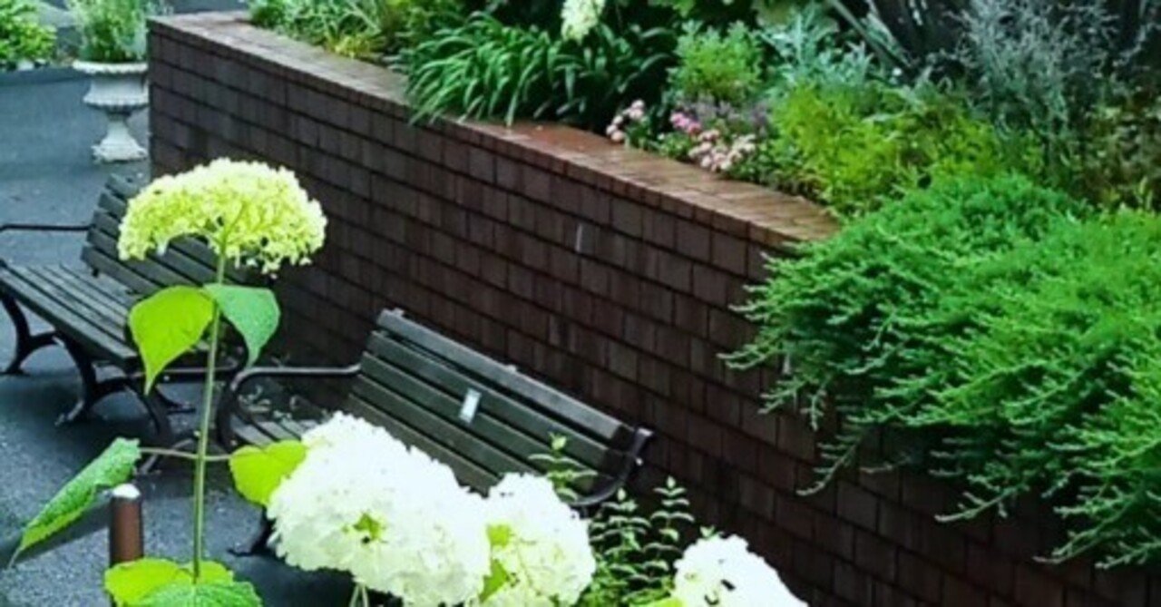 めずらしく｜mitsuki