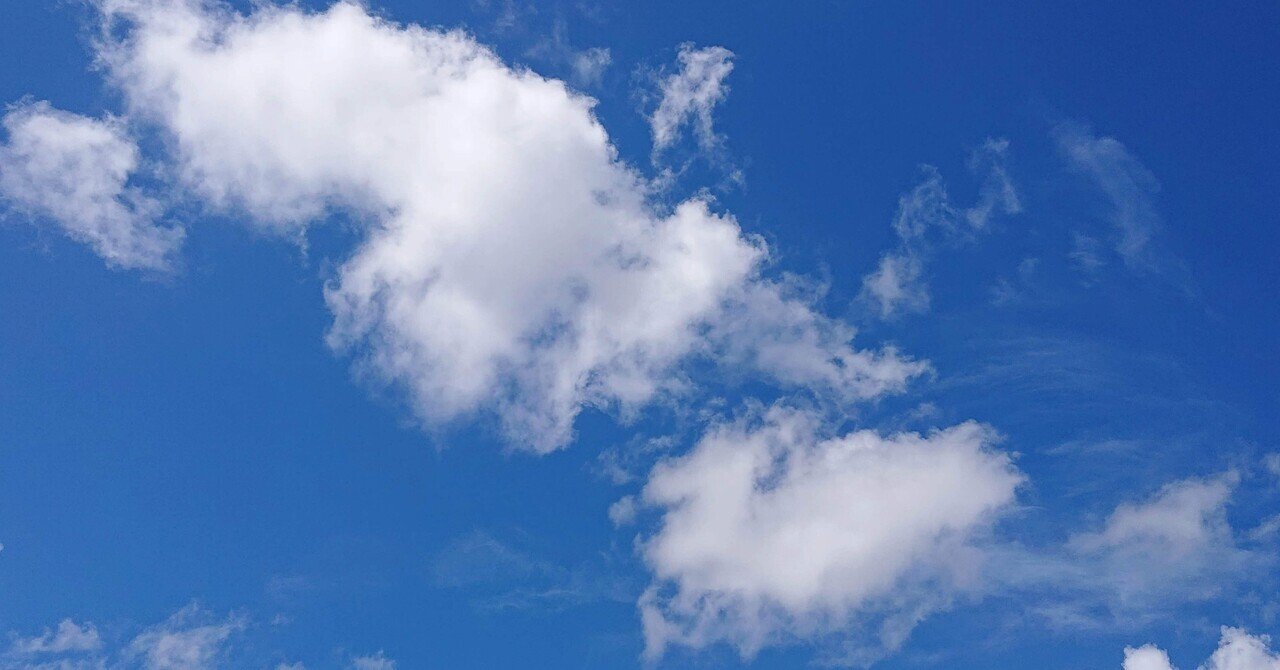 20250621 日記｜risi