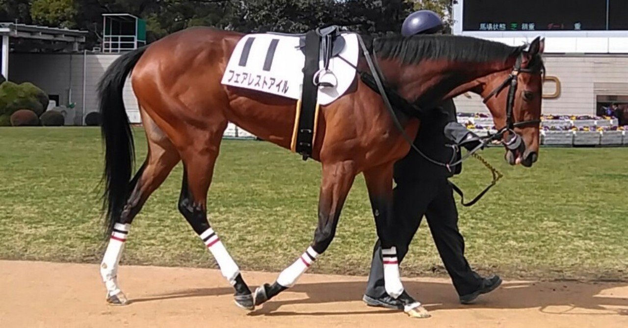 2/23（日）京都6R 1番人気馬｜JRDB 競馬アラカルト｜note