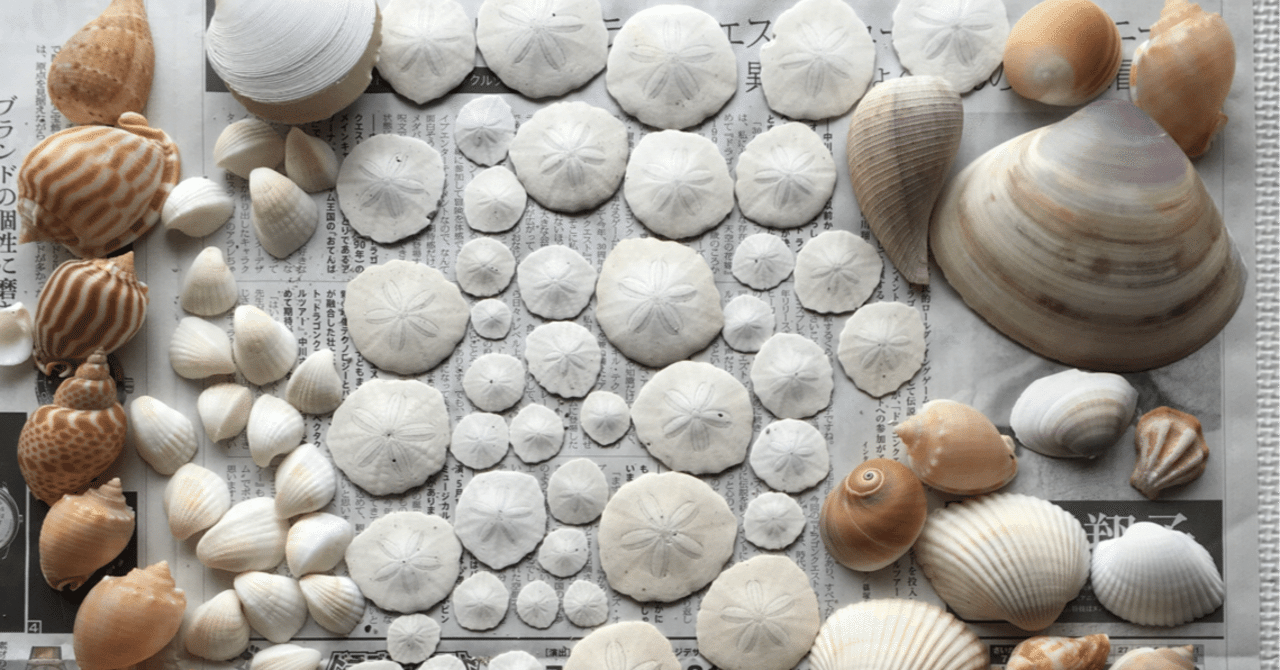 好きな食べ物ランキング・第1位｜kibori-chan