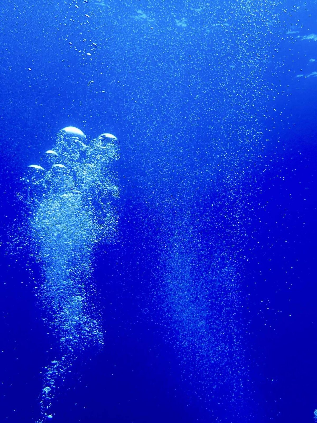 ダイビング USS Emmons｜えにし