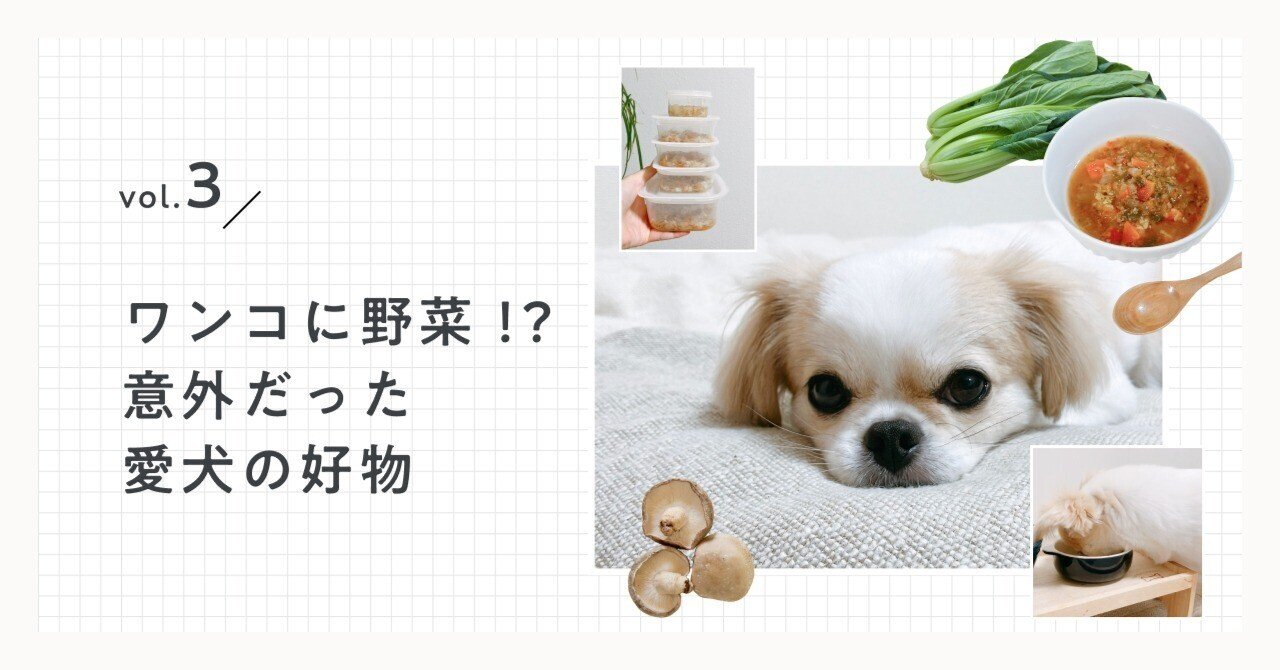 ワンコに野菜！？意外だった愛犬の好物｜OBREMO（オブレモ）公式