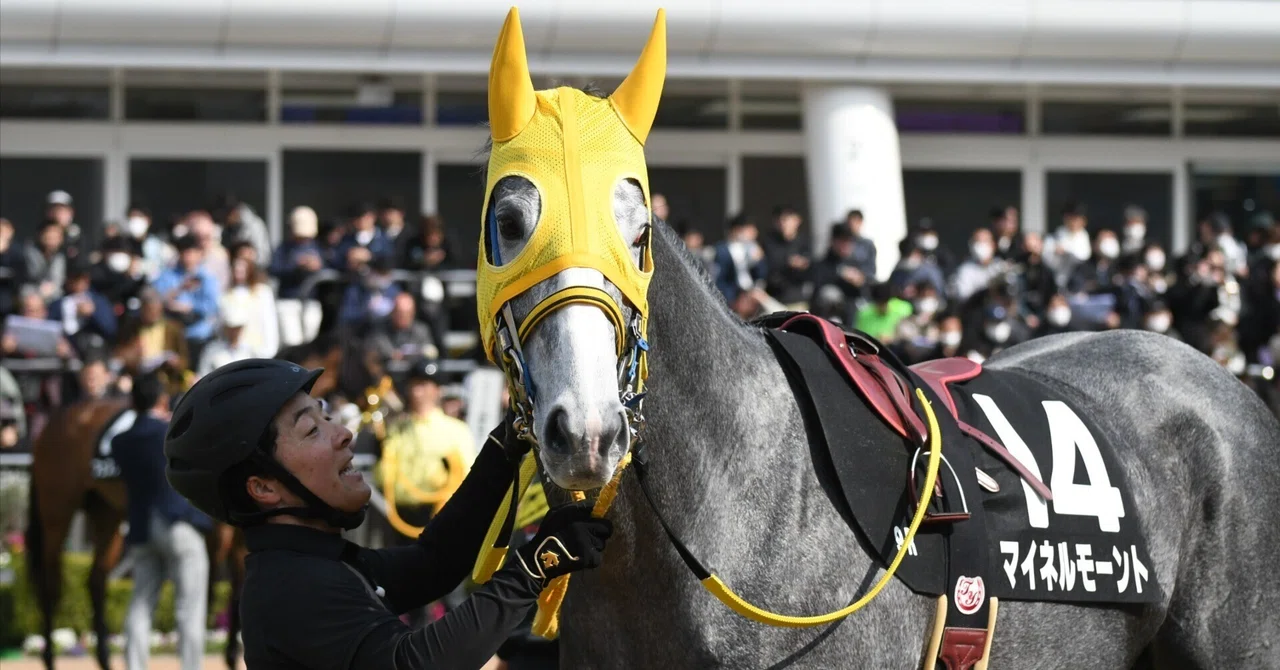 ラフィアンターフマンクラブ 2025募集馬(2024年産)AI馬体診断｜Koji Maeda