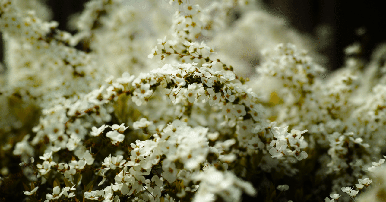 【視聴メモ】｜NHKスペシャル「人体III 第4集 果てしなき命の探求」｜上野イクヨ｜千野 桃