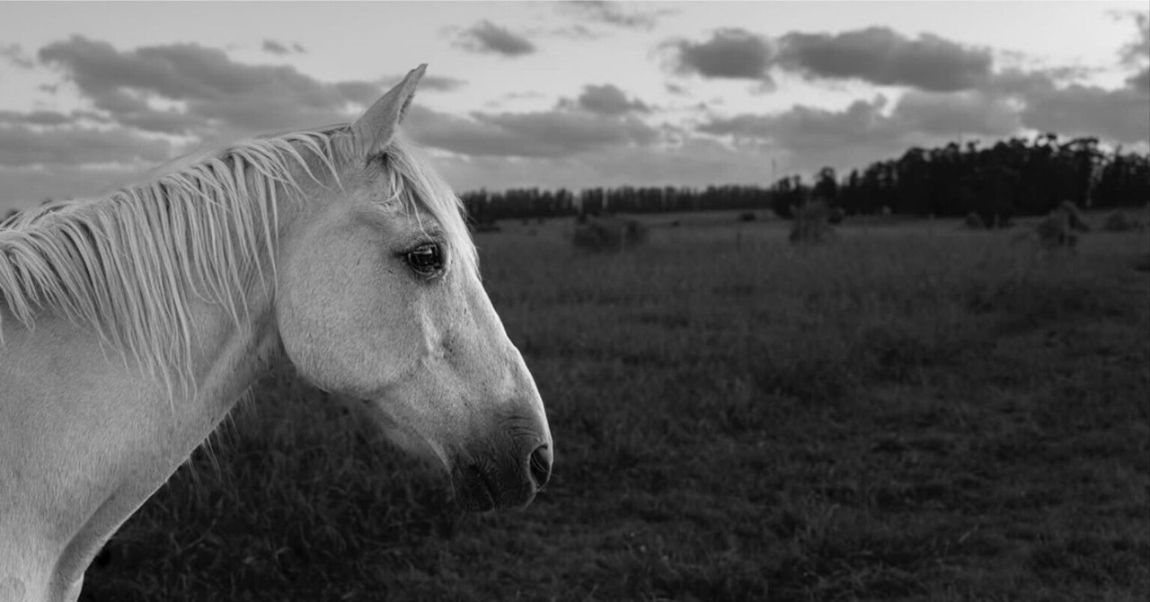 🌹「The Thin Thread Line」🌹｜naho-21