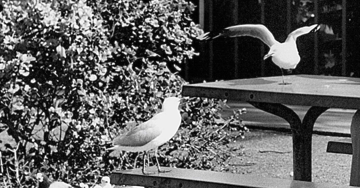 「光でスケッチ」on the bench｜Rabi Sato