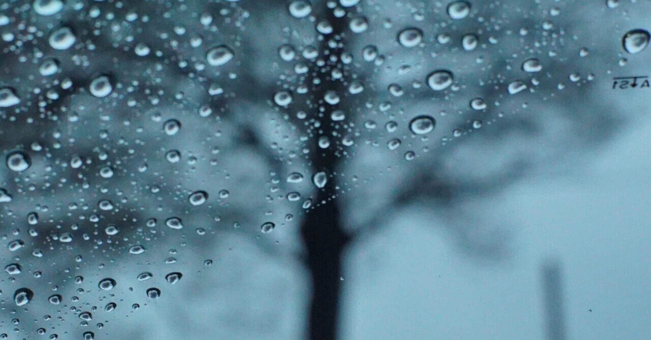 浄化のサイン 6/24｜Shun Lightbridge