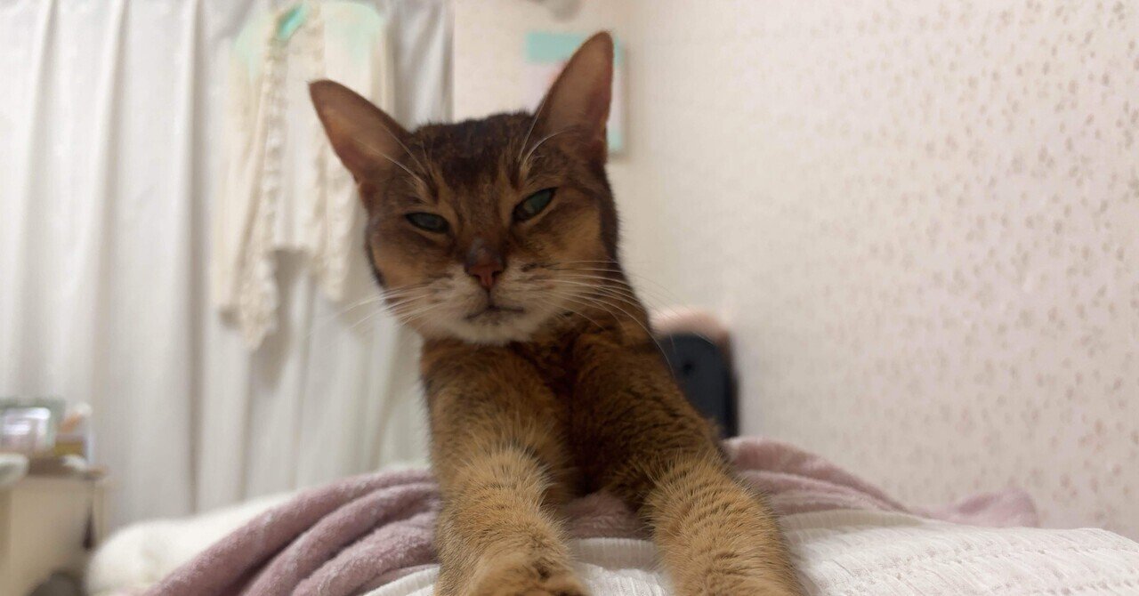 Gemma Gemma｜カナコspeena