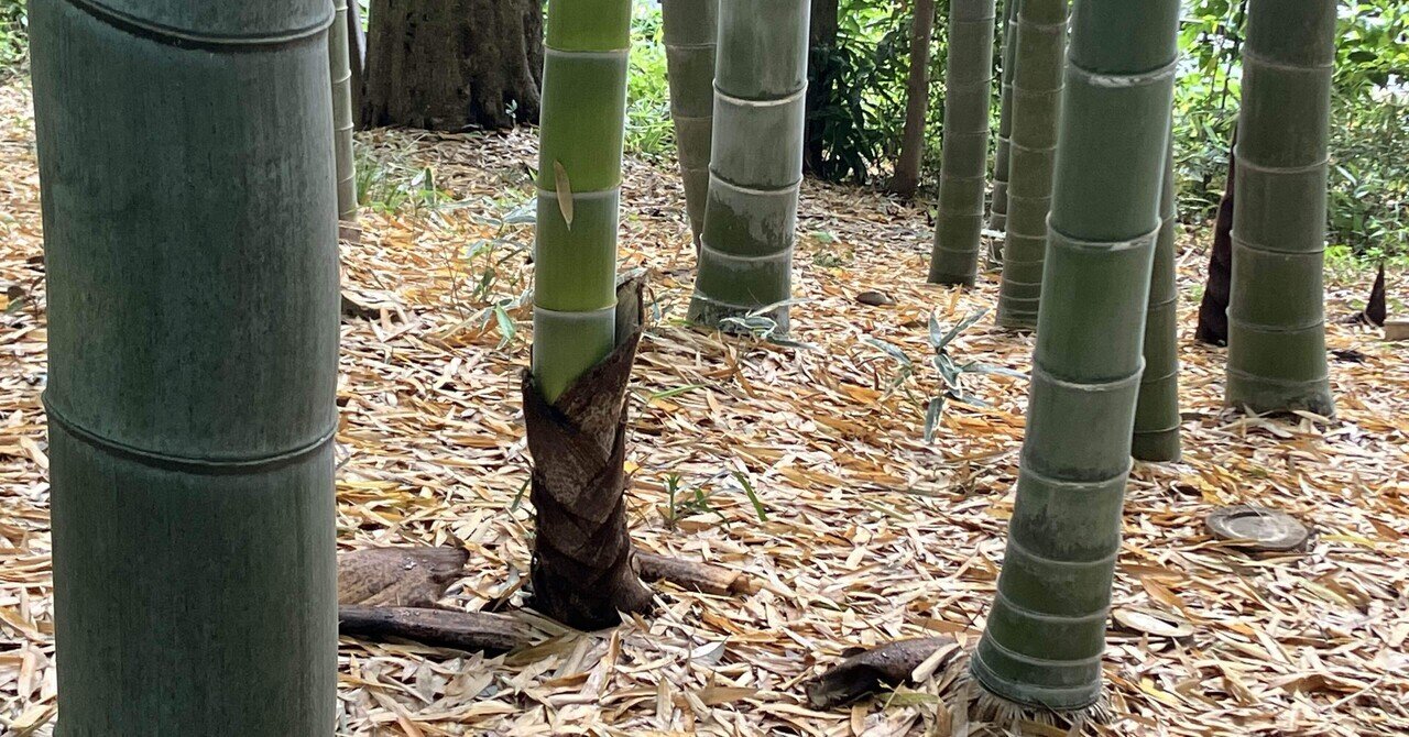 研修講師は、「自己紹介」にもこだわろう。｜Fumito SATO